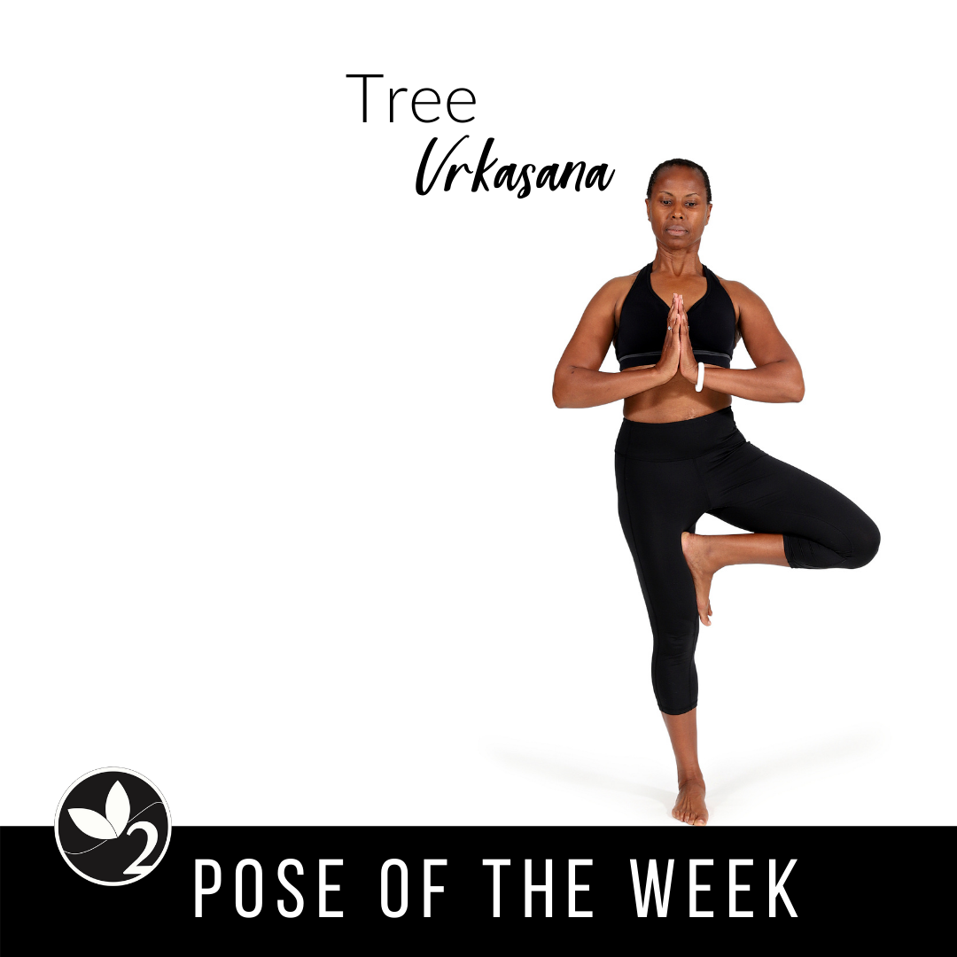 Pose of the Week Guide: Tree Pose | Oxygen Yoga Fitness